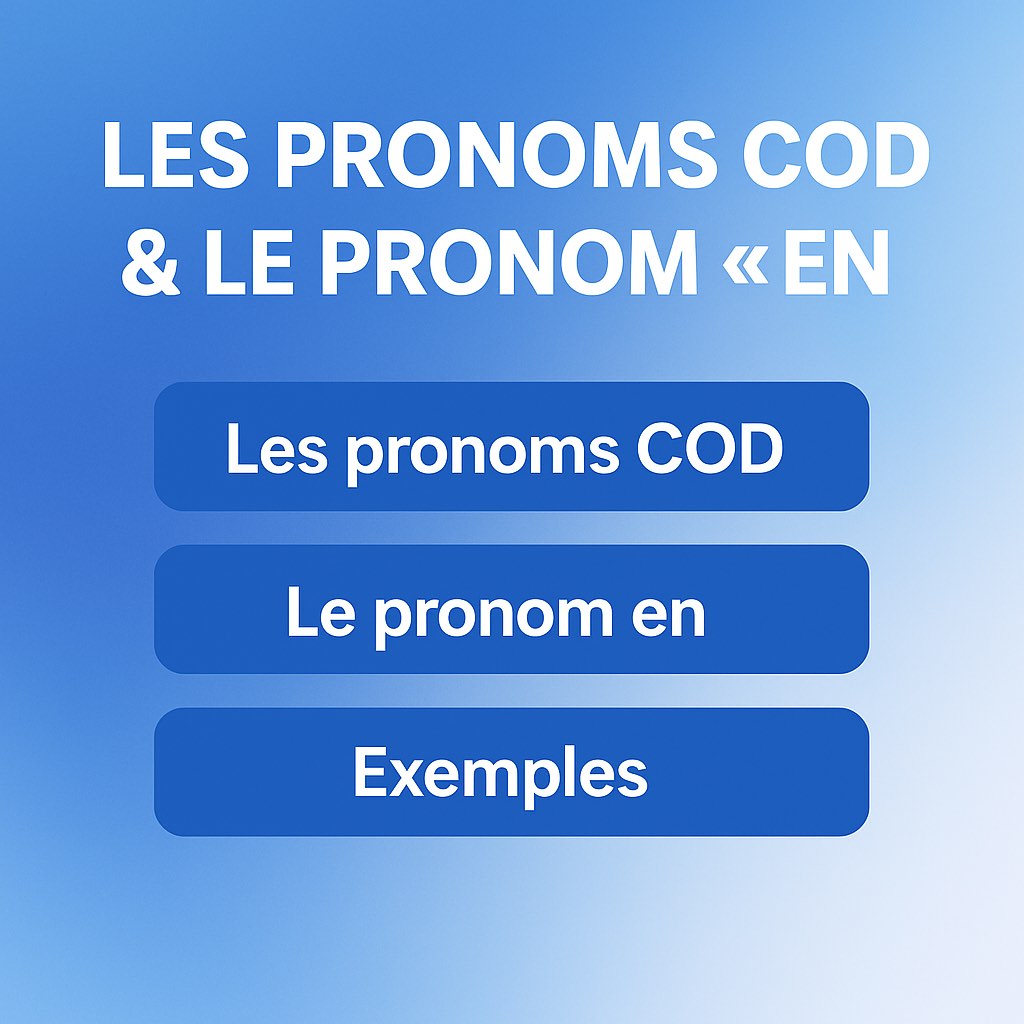 Les pronoms COD et le pronom EN (vidéo + leçon + exercices) - MOddou FLE