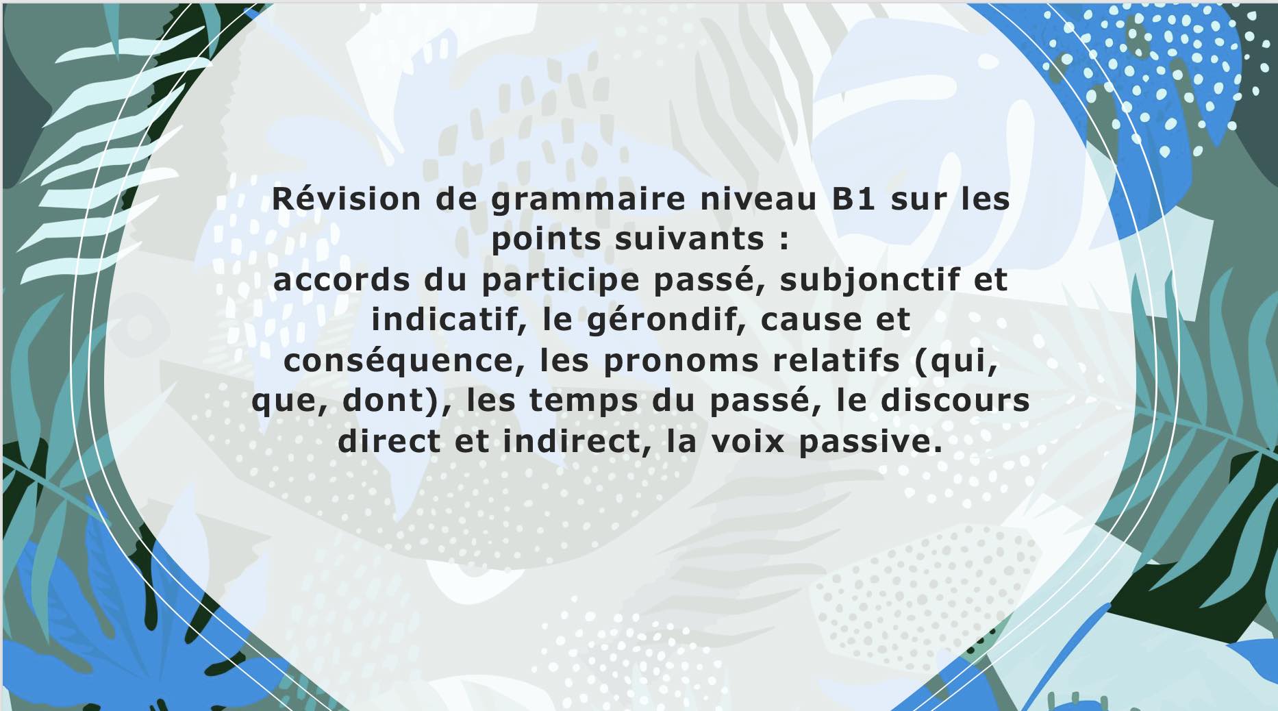 Révision de 8 points de grammaire niveau B1, règles avec exercices. - MOddou FLE
